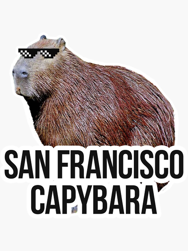 "San Francisco capybara meme" Sticker for Sale by RosalinaBorley ...