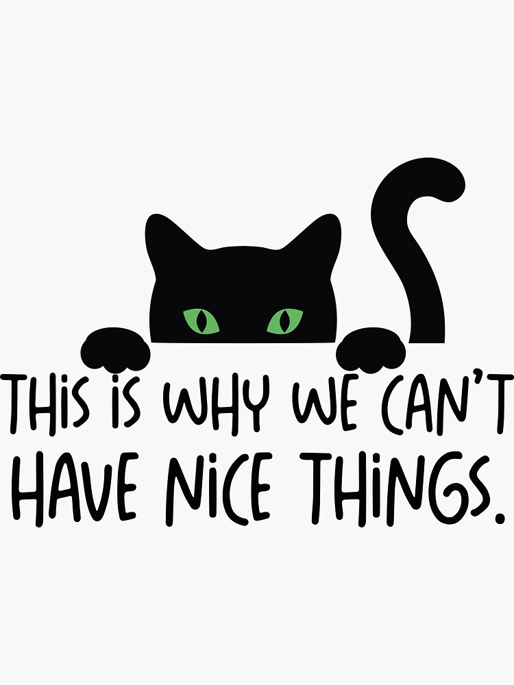 "This is Why We Cant Have Nice Things Sticker Vinyl Sticker Water ...