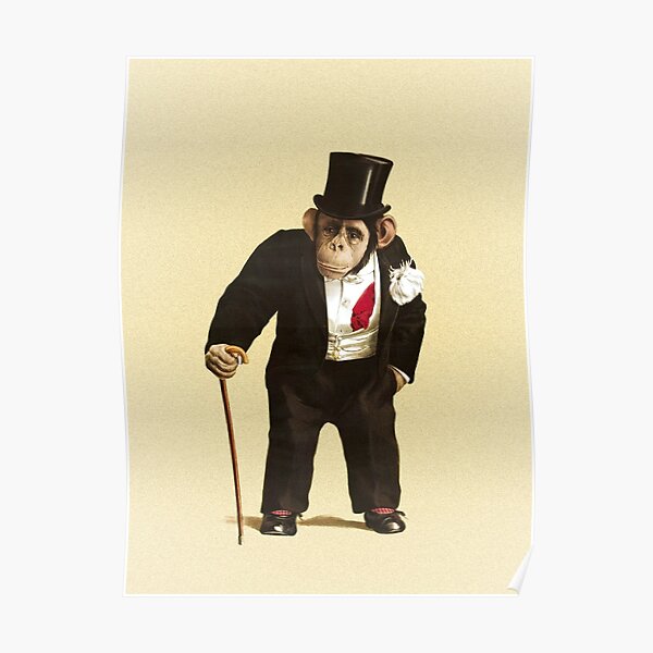 "Circus Series Consul Peter the Dapper Chimp" Poster for Sale by ...