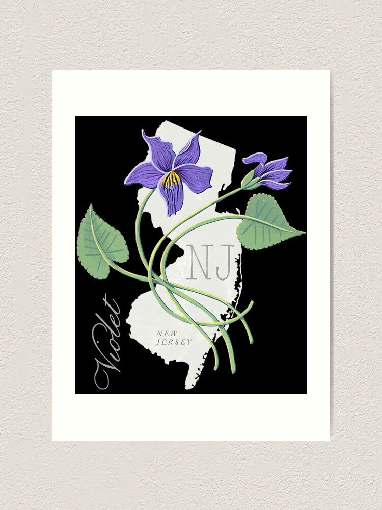 "new jersey state flower violet art by jen montgomery jen montgomery ...