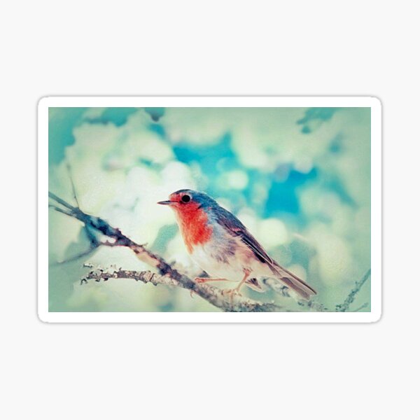 "robin bird" Sticker for Sale by Francespoppy | Redbubble