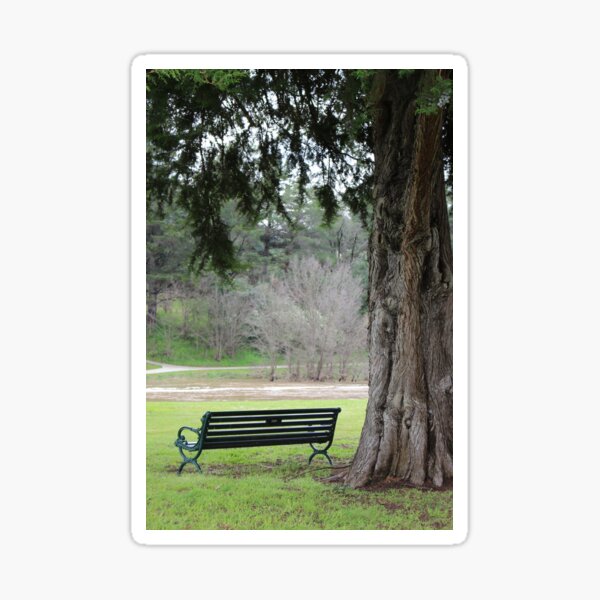 "Bench Under Pine Tree, Riverbank Park, Yass" Sticker by Linxietora ...
