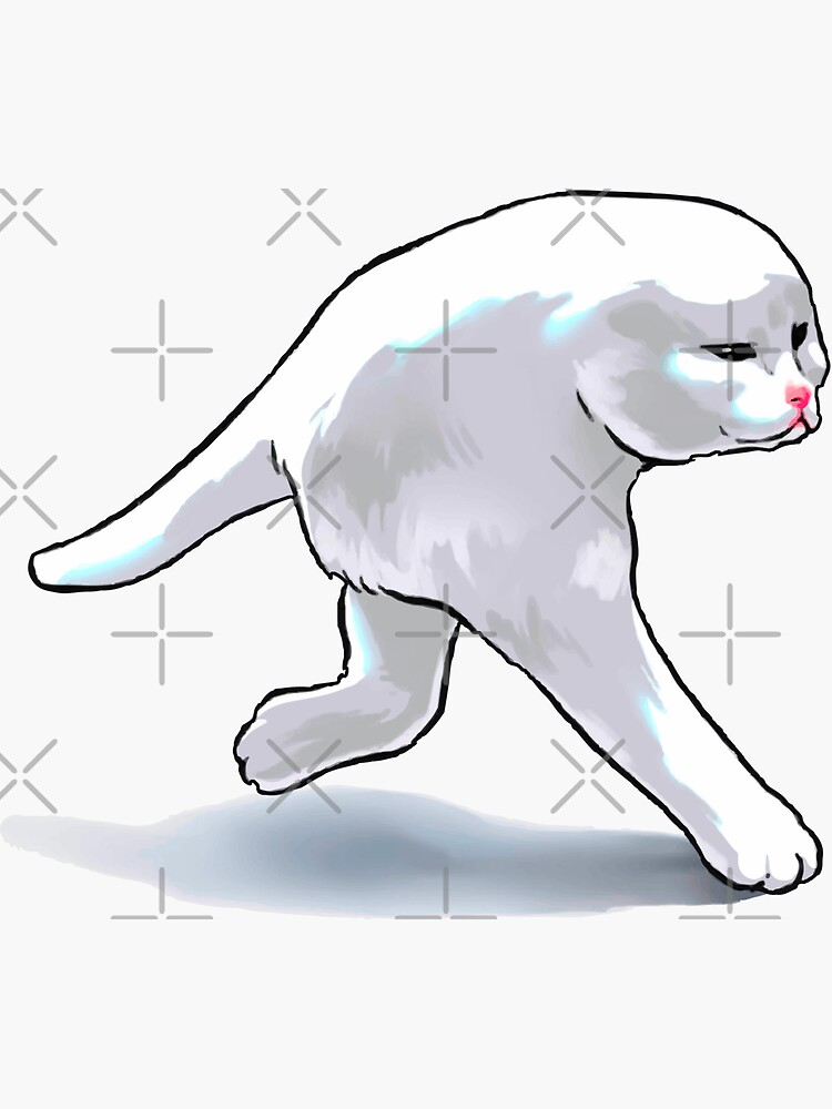 "Cursed Cat Images" Sticker for Sale by printify | Redbubble