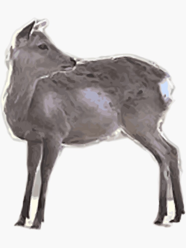 "Doe" Sticker for Sale by Zoostuffs | Redbubble
