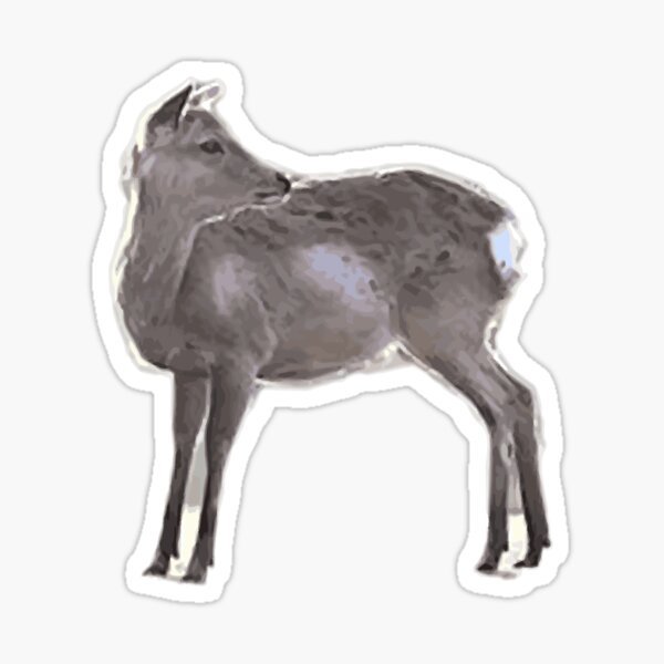 "Doe" Sticker for Sale by Zoostuffs | Redbubble