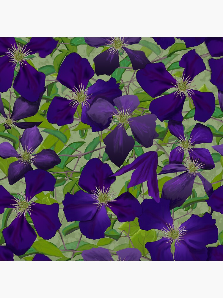 "Clematis" Sticker for Sale by WildBirdArt | Redbubble