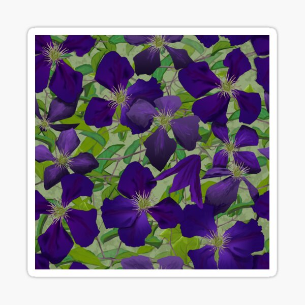 "Clematis" Sticker for Sale by WildBirdArt | Redbubble
