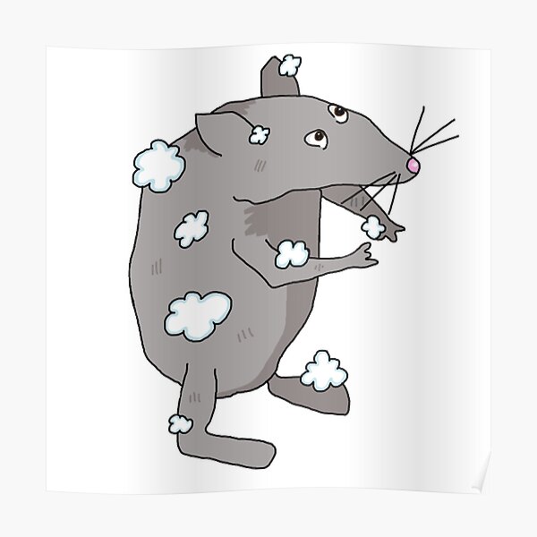 "Shower rat meme" Poster for Sale by nova-waves | Redbubble