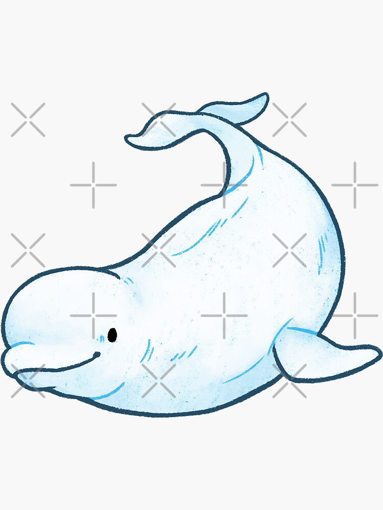 "Little Beluga Whale" Sticker for Sale by StinaB | Redbubble