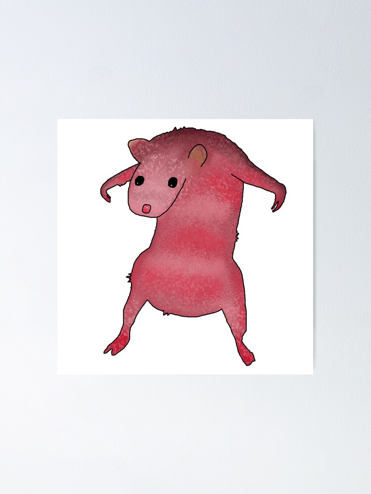 "Pink rat meme" Poster for Sale by nova-waves | Redbubble
