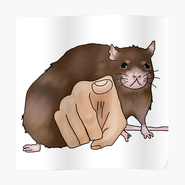"Pointing rat meme" Poster for Sale by nova-waves | Redbubble
