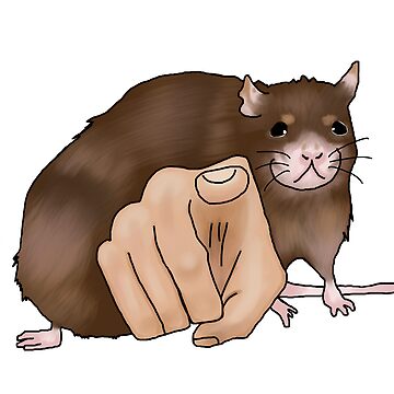 "Pointing rat meme" Sticker for Sale by nova-waves | Redbubble