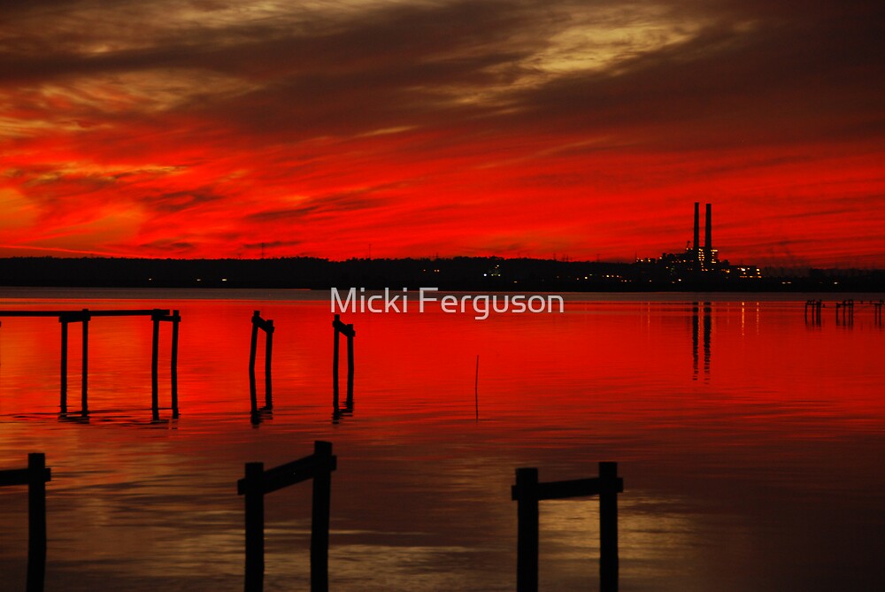 "forever red " by Micki Ferguson | Redbubble