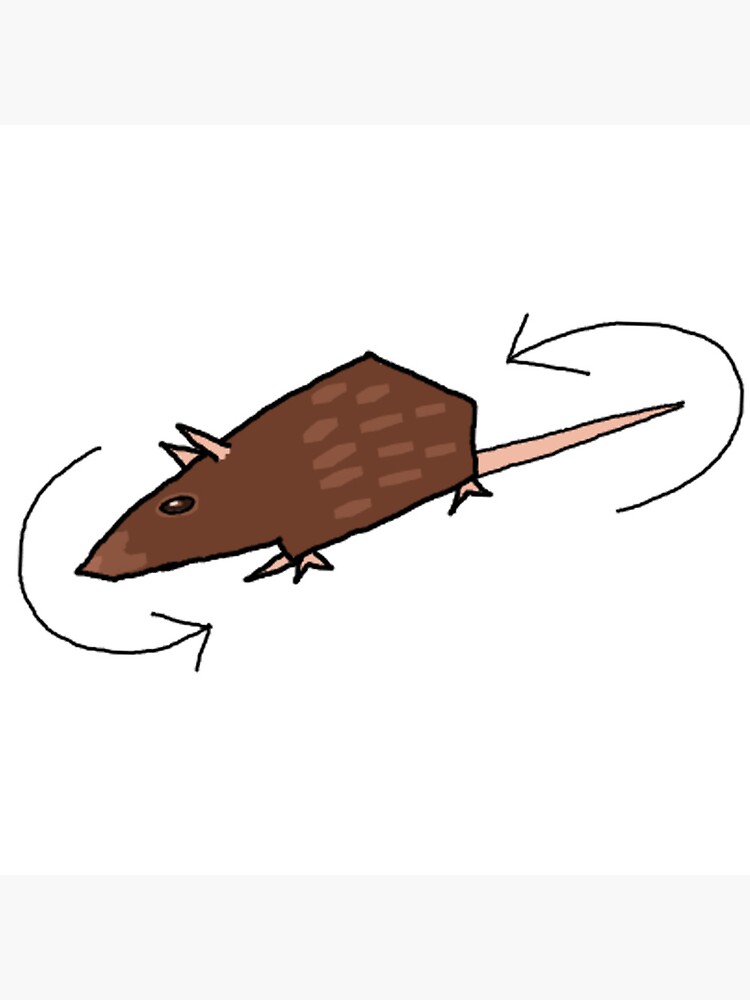 "Rotating rat meme" Art Print for Sale by nova-waves | Redbubble