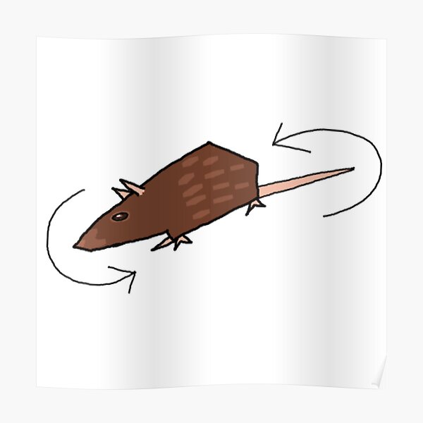 "Rotating rat meme" Poster for Sale by nova-waves | Redbubble