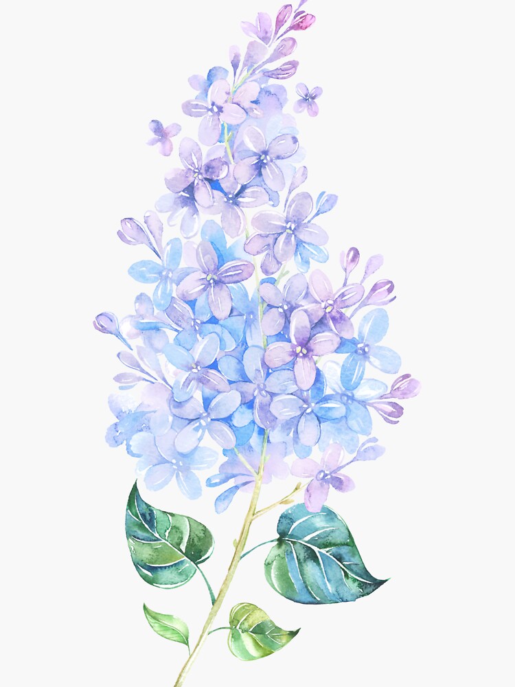 "Purple Lilac Flower" Sticker for Sale by Mochii-Mochii | Redbubble