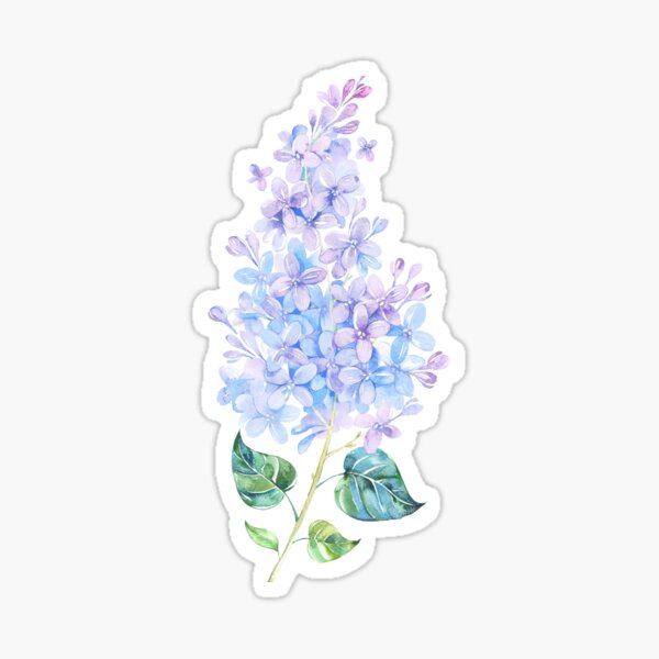 "Purple Lilac Flower" Sticker for Sale by Mochii-Mochii | Redbubble