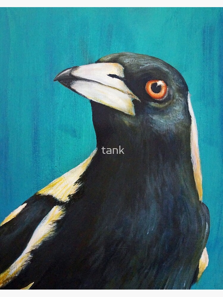 "Bird Series - Magpie" Art Board Print for Sale by tank | Redbubble