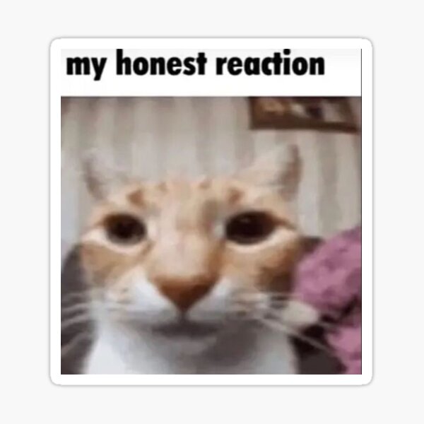  my Honest Reaction Sticker For Sale By Cocksnot Redbubble