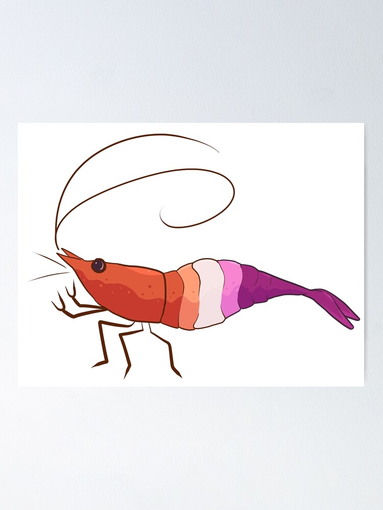 "Lesbian Pride Neocaridina Freshwater Shrimp" Poster for Sale by ...