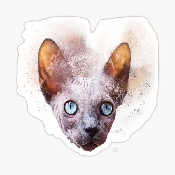"Beautiful and Cute Cat & Kitty" Sticker for Sale by Shekevara | Redbubble