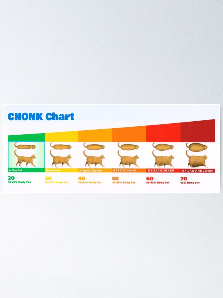 "Chonk Chart Chonky Cat Meme (Oh Lawd He Comin)" Poster for Sale by fomodesigns | Redbubble