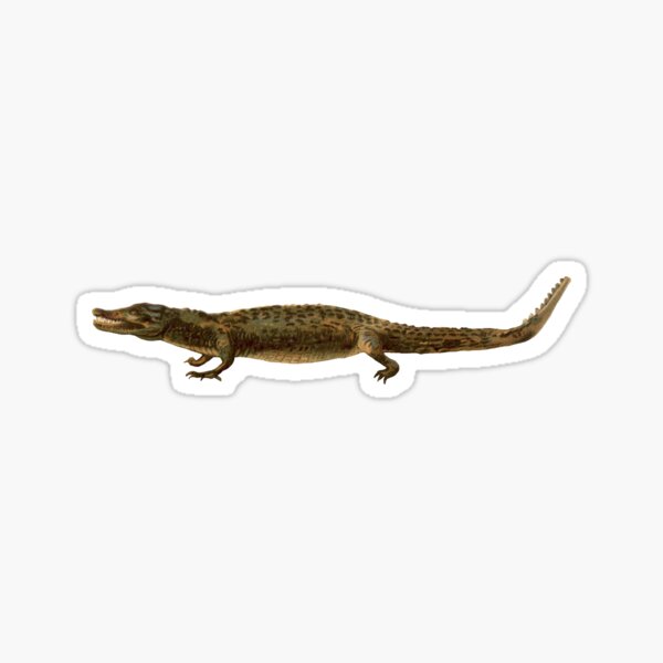 Vintage Alligator Sticker For Sale By Trncreative Redbubble