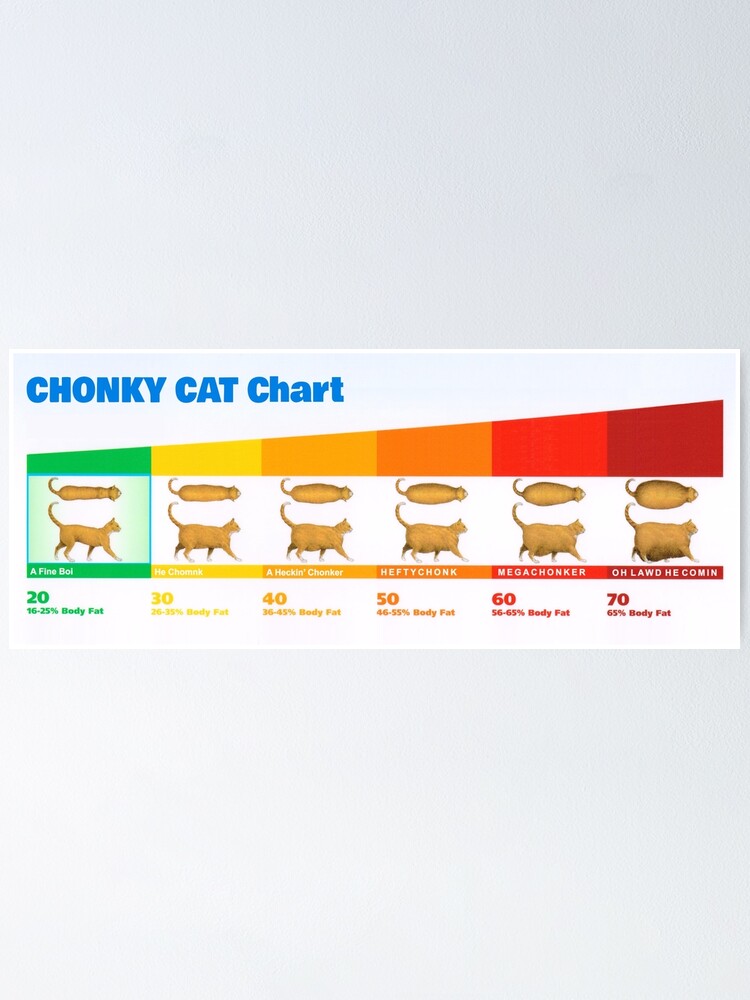 "Fat Chonky Cat Chart Chonk Meme (Oh Lawd He Comin)" Poster for Sale by ...