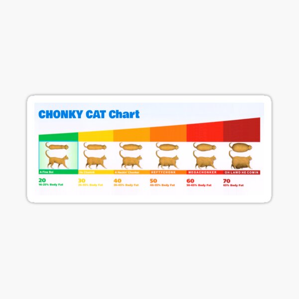 "Fat Chonky Cat Chart Chonk Meme (Oh Lawd He Comin)" Sticker for Sale ...