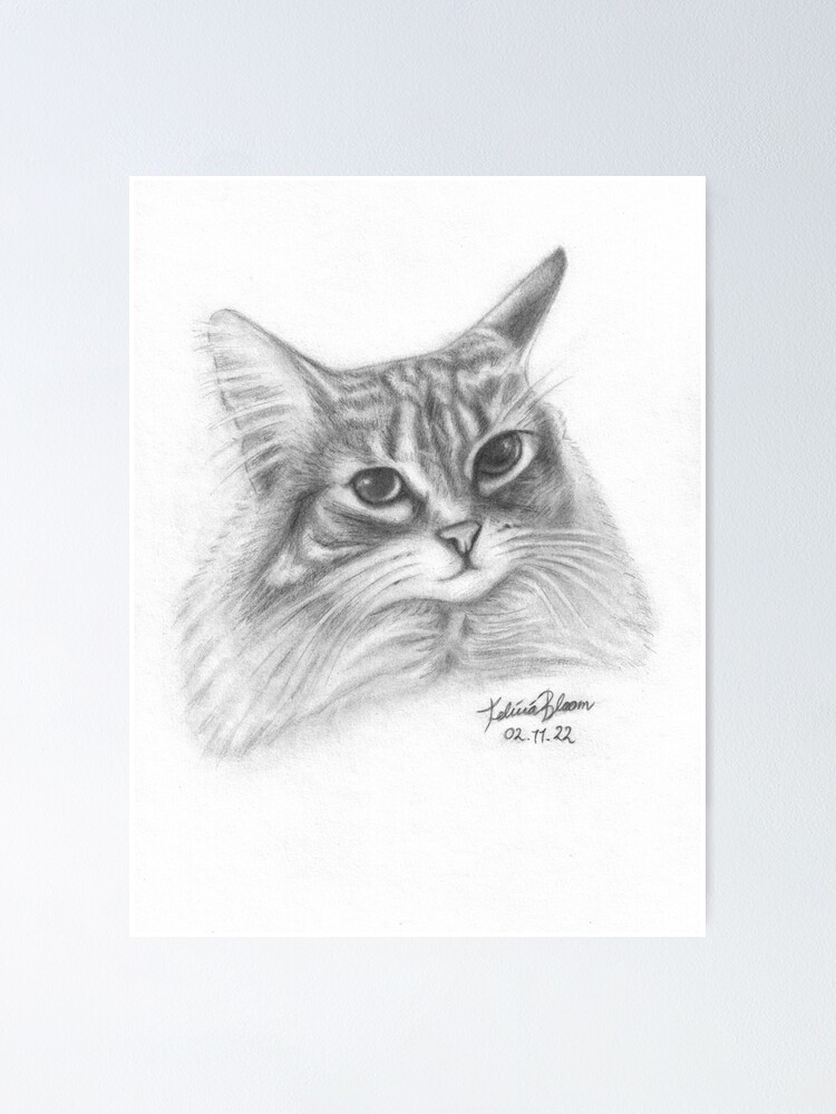 "Harper the cat" Poster for Sale by FeliciaBloom | Redbubble