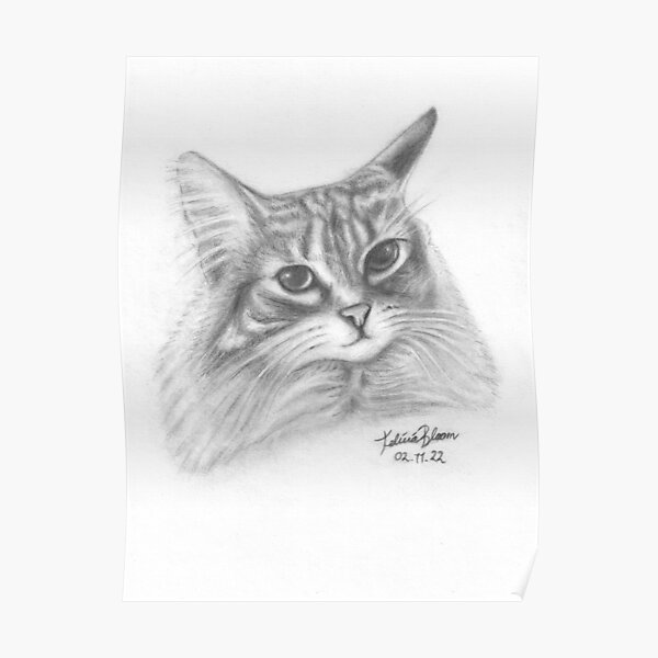 "Harper the cat" Poster for Sale by FeliciaBloom | Redbubble