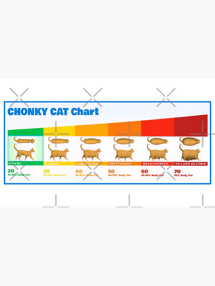 "Chubby Chonky Cat Chart Funny Chonk Meme (Oh Lawd He Comin)" Coffee ...