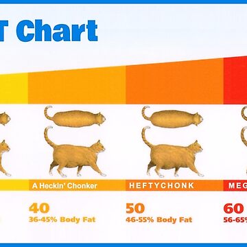 "Chubby Chonky Cat Chart Funny Chonk Meme (Oh Lawd He Comin)" Coffee ...