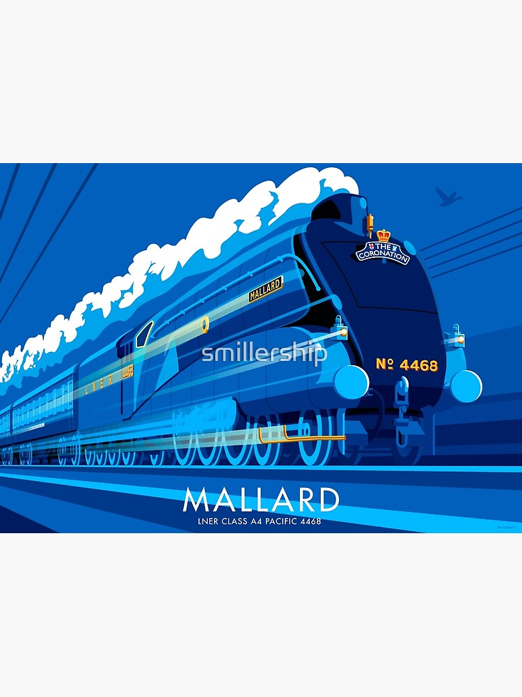 "Mallard" Poster for Sale by Stephen Millership | Redbubble