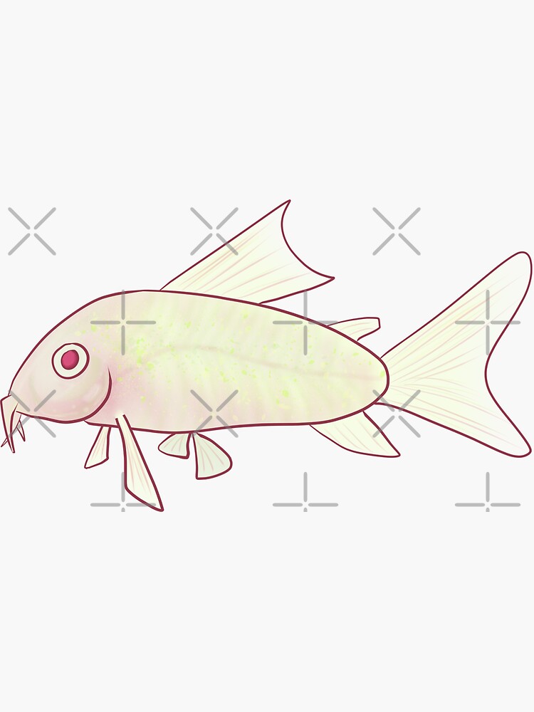 "Albino Cory Cat Freshwater Catfish" Sticker for Sale by SnowAfterFyre ...