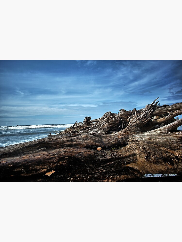 "Dreamy Driftwood" Poster for Sale by ExplorerImagery | Redbubble