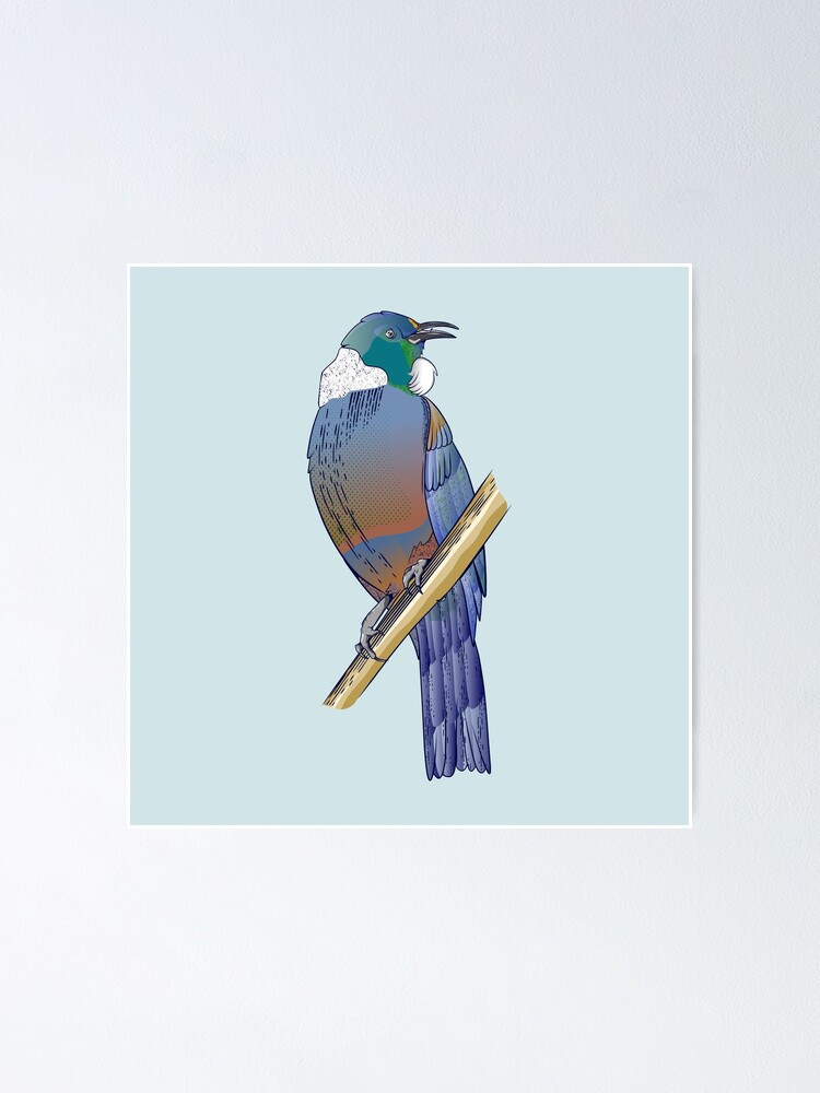 "Tui NZ BIRD" Poster for Sale by piedaydesigns | Redbubble