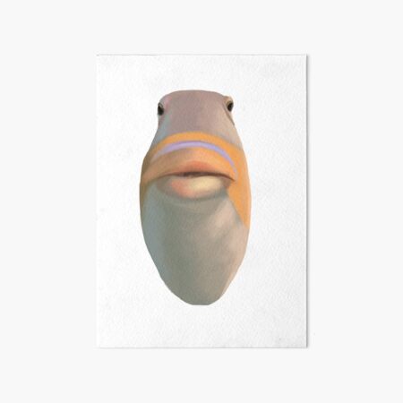 "British Fish Innit" Art Board Print for Sale by aphelionae | Redbubble