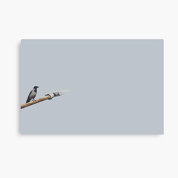 Gazza Canvas Prints | Redbubble