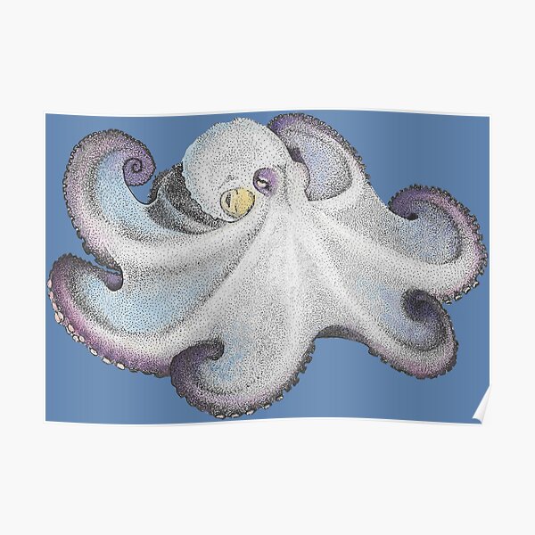 "Octopus Art (Color) " Poster for Sale by skye-studio | Redbubble