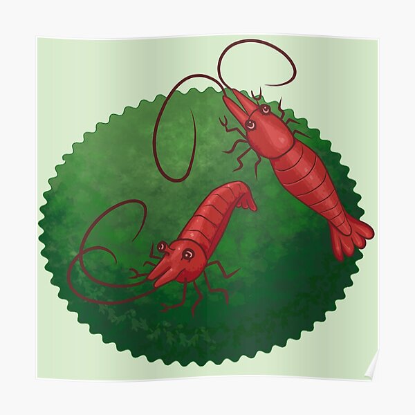 Póster «Camarón de agua dulce Naocaridina rojo cereza doble en bola de ...