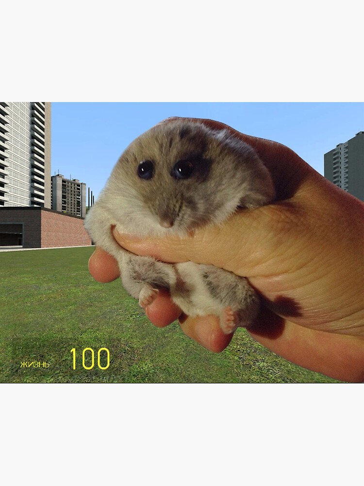 "Gmod Hampter" Sticker for Sale by cocksnot | Redbubble