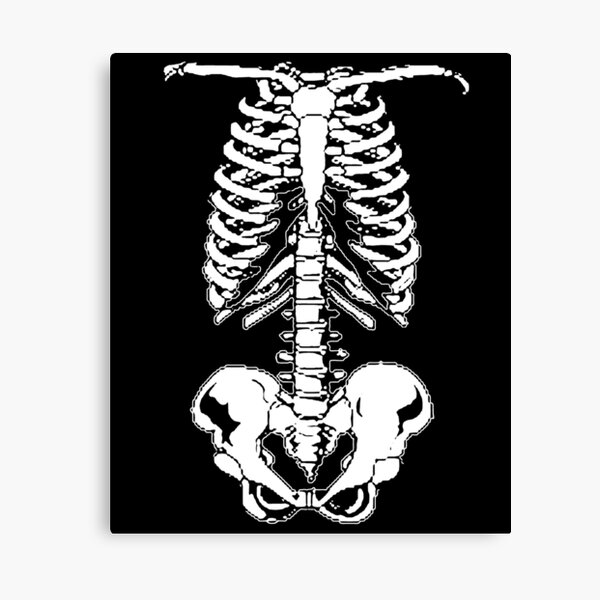 "Halloween Skeleton Rib Cage and Pelvis " Canvas Print for Sale by ...