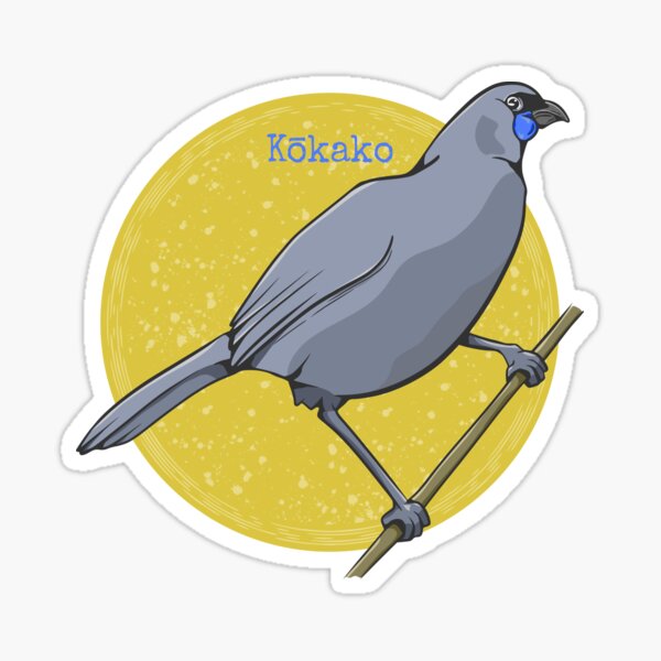 "Kokako New Zealand Bird " Sticker for Sale by piedaydesigns | Redbubble