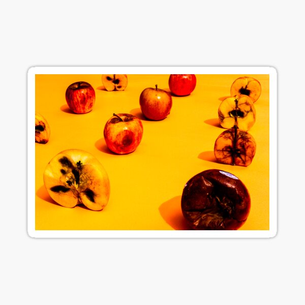 ""Rotten Apples & Time" Concept Photo Art Project Print" Sticker for ...