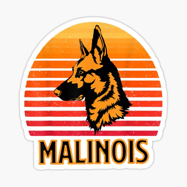 "vintage belgian malinois " Sticker for Sale by ilshatochuit | Redbubble