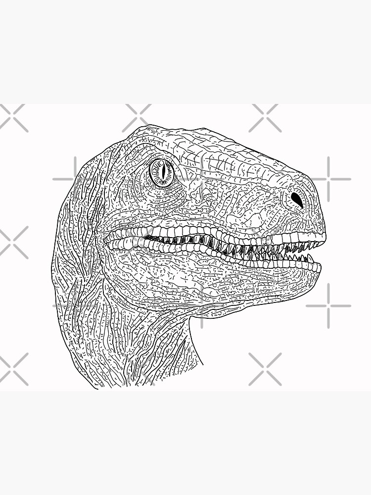 "Raptor head" Poster for Sale by LamassuCreation | Redbubble
