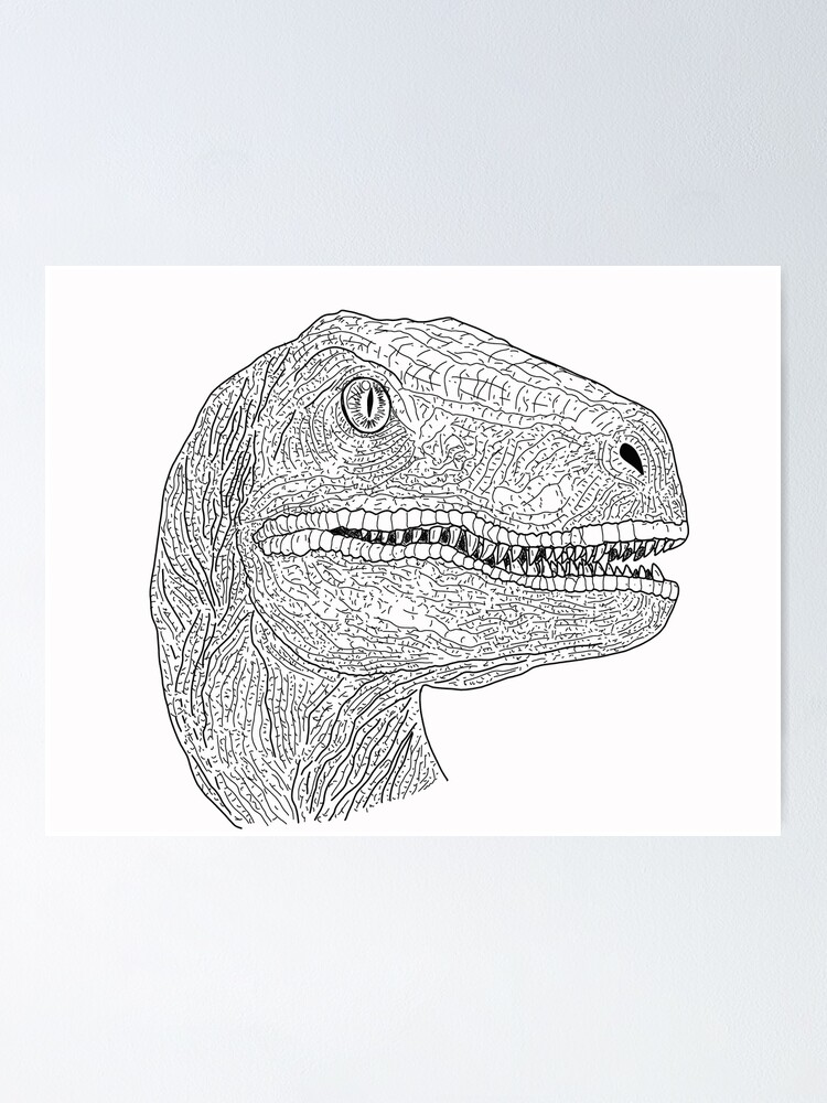 "Raptor head" Poster for Sale by LamassuCreation | Redbubble