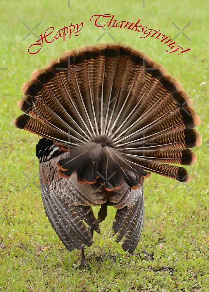"Happy Thanksgiving Turkey rear view" by Zina Stromberg | Redbubble
