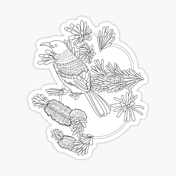 "Tui Bird " Sticker for Sale by YuNikDraw | Redbubble